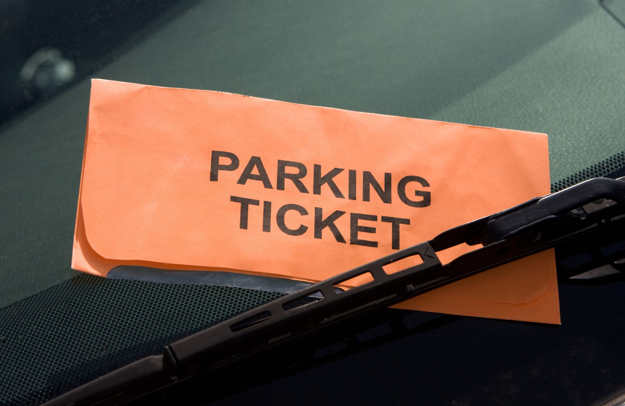 Do Parking Tickets Show Up on Background Checks? - Sapphire Check